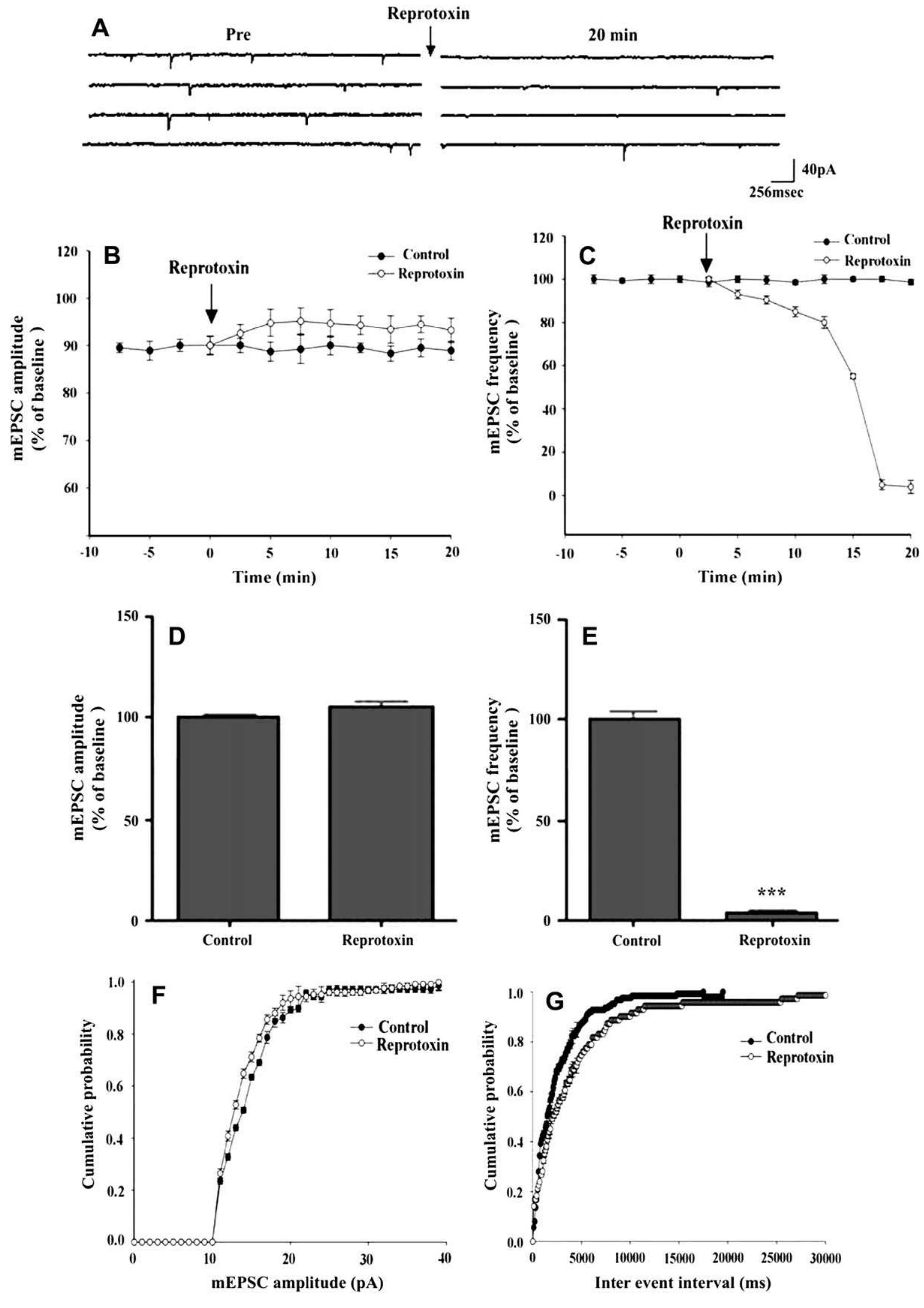 Reprotoxin inhibits mepsc frequency in cultured hippocampal