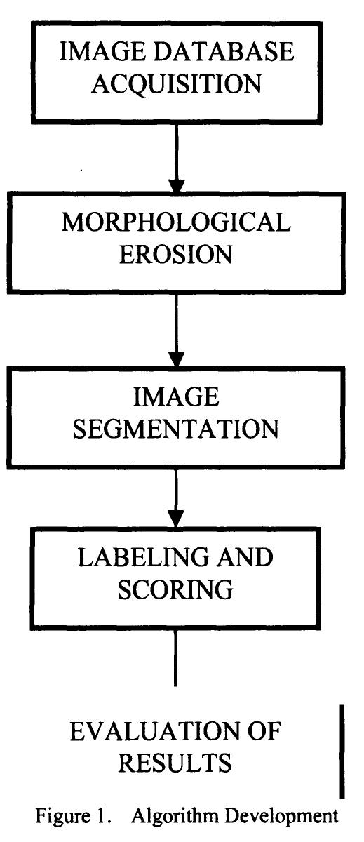 Figure 3 - Computer Vision based Automatic Scoring of