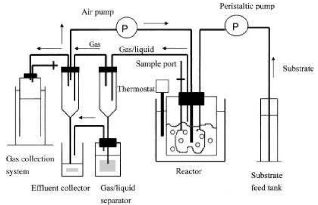 Schematic description of anaerobic bioreactor for continuous