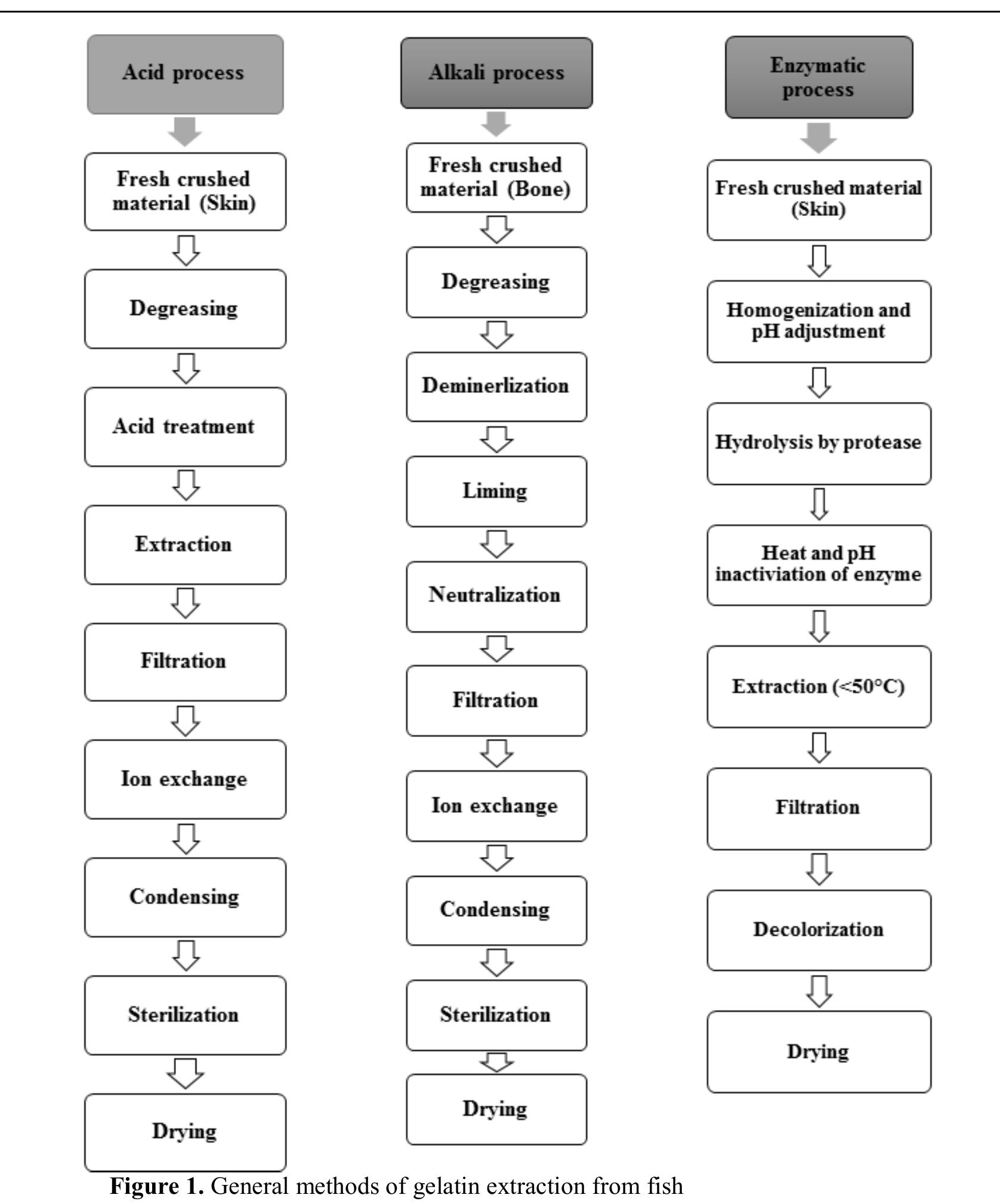 Typical strand chemical structure of gelatin another