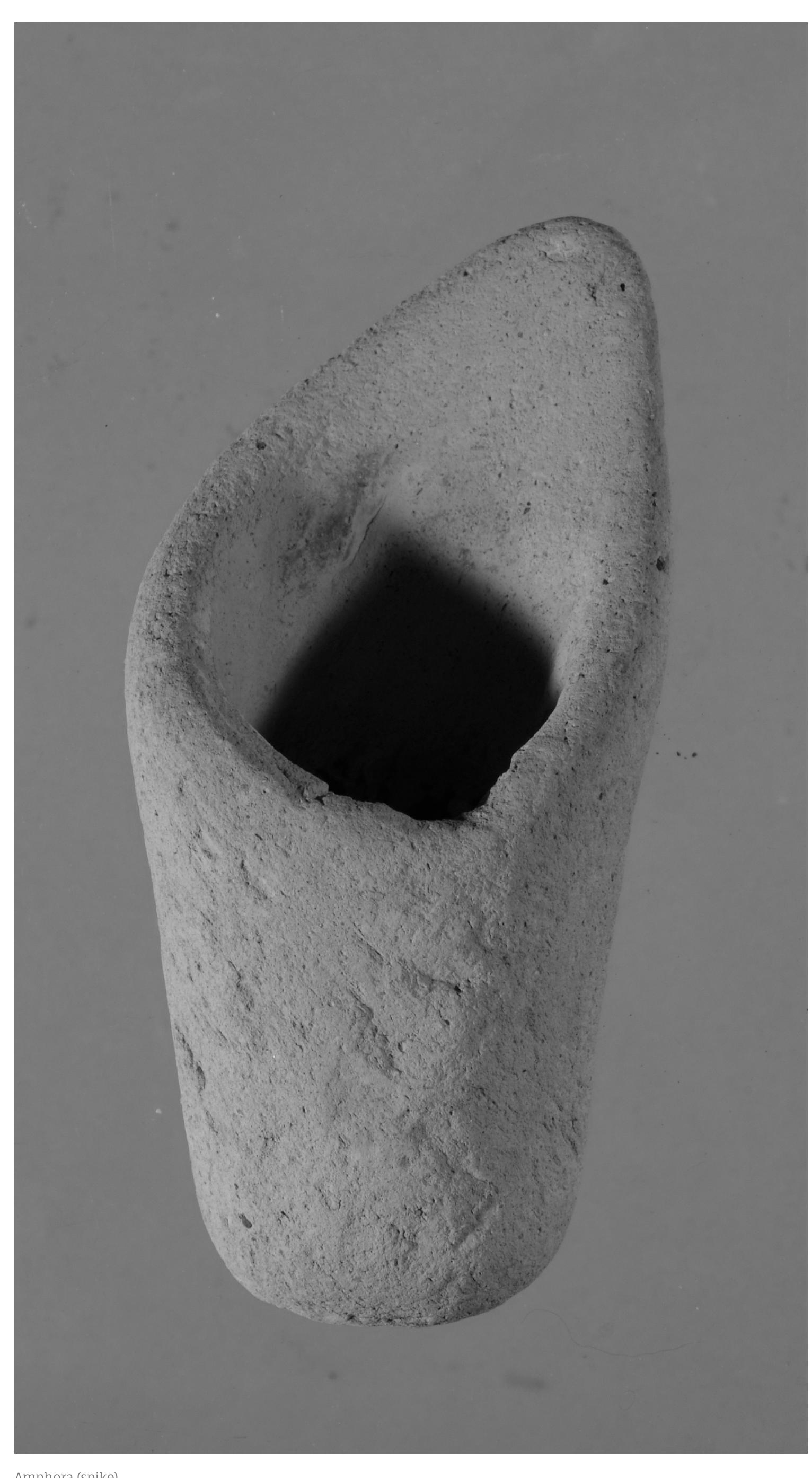 Figure 2 - Tracing the history of the horse in Iberia and