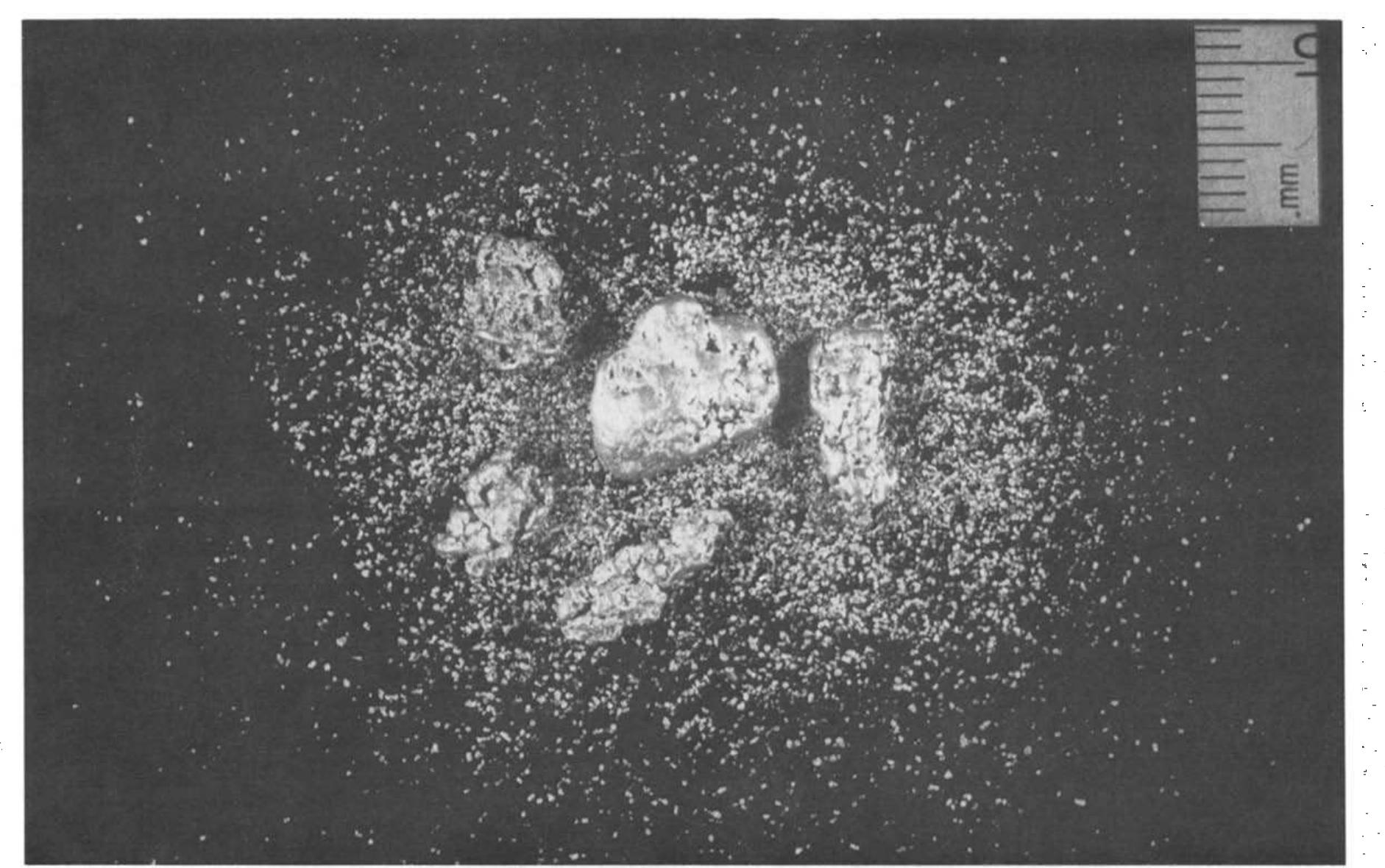 Photograph showing relative size and morphology of detrital