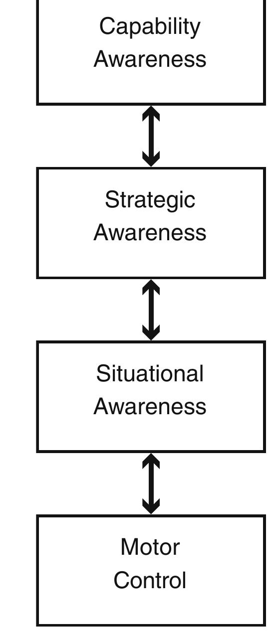 Figure 4 - The co-evolution of tools and minds: cognition