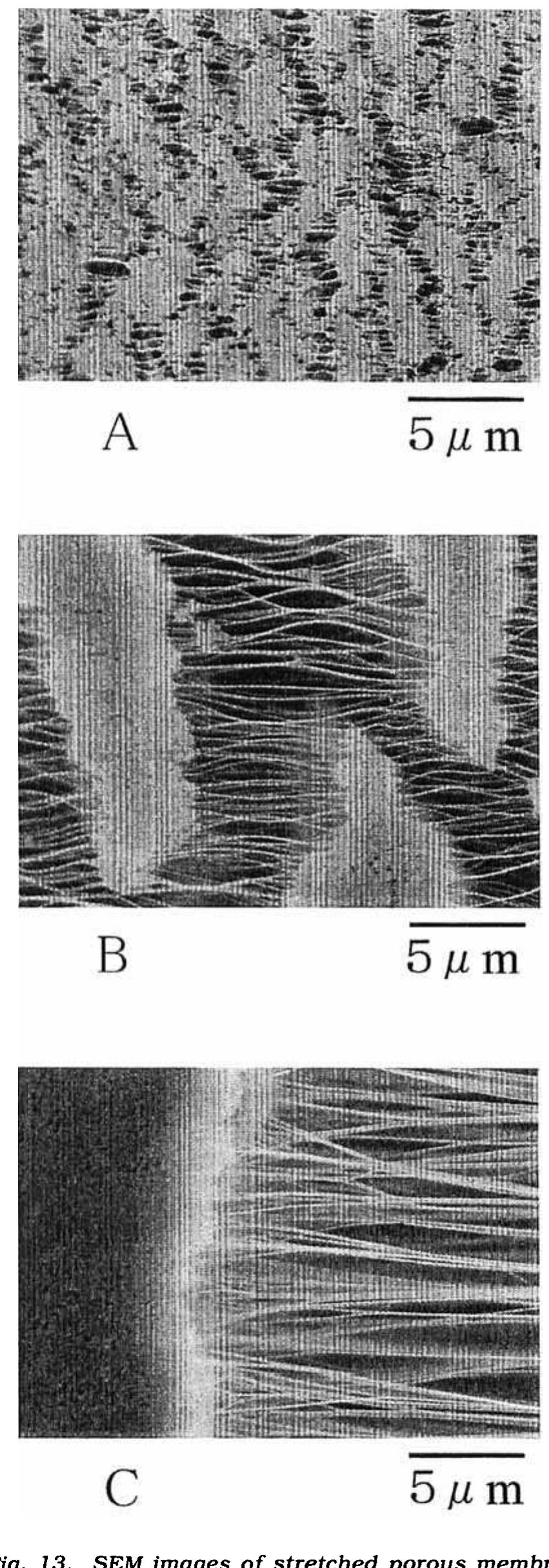 Figure 15 - Formation mechanism of porous structure in