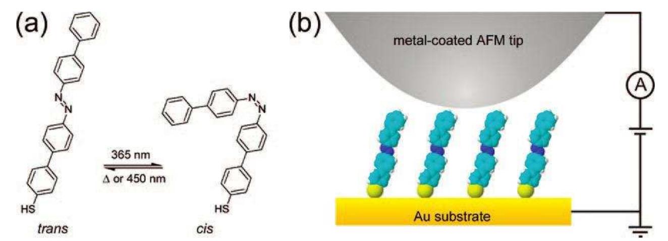 10: (a) structure of the trans and cis isomers of the