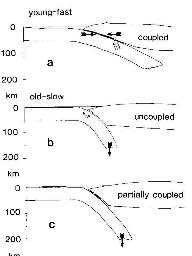 A schematic figure showing (a) the possible mechanism of