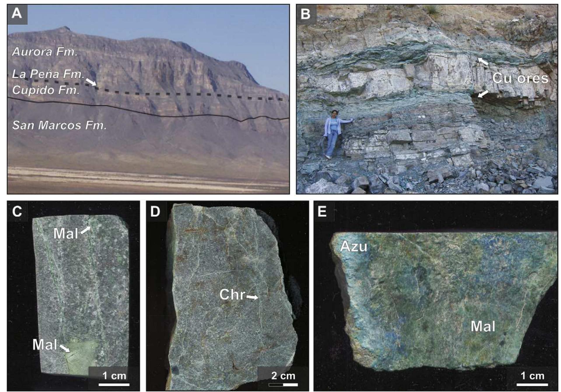 Photographs of the mesozoic sedimentary sequence, the