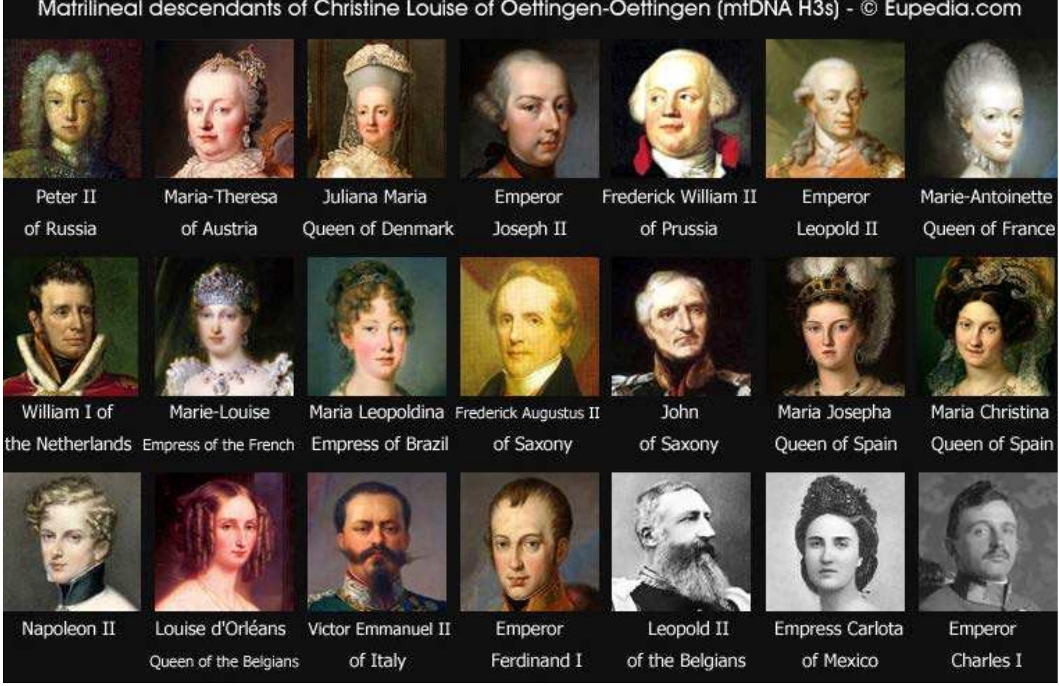 (PDF) Origins and history of Haplogroup H (mtDNA)