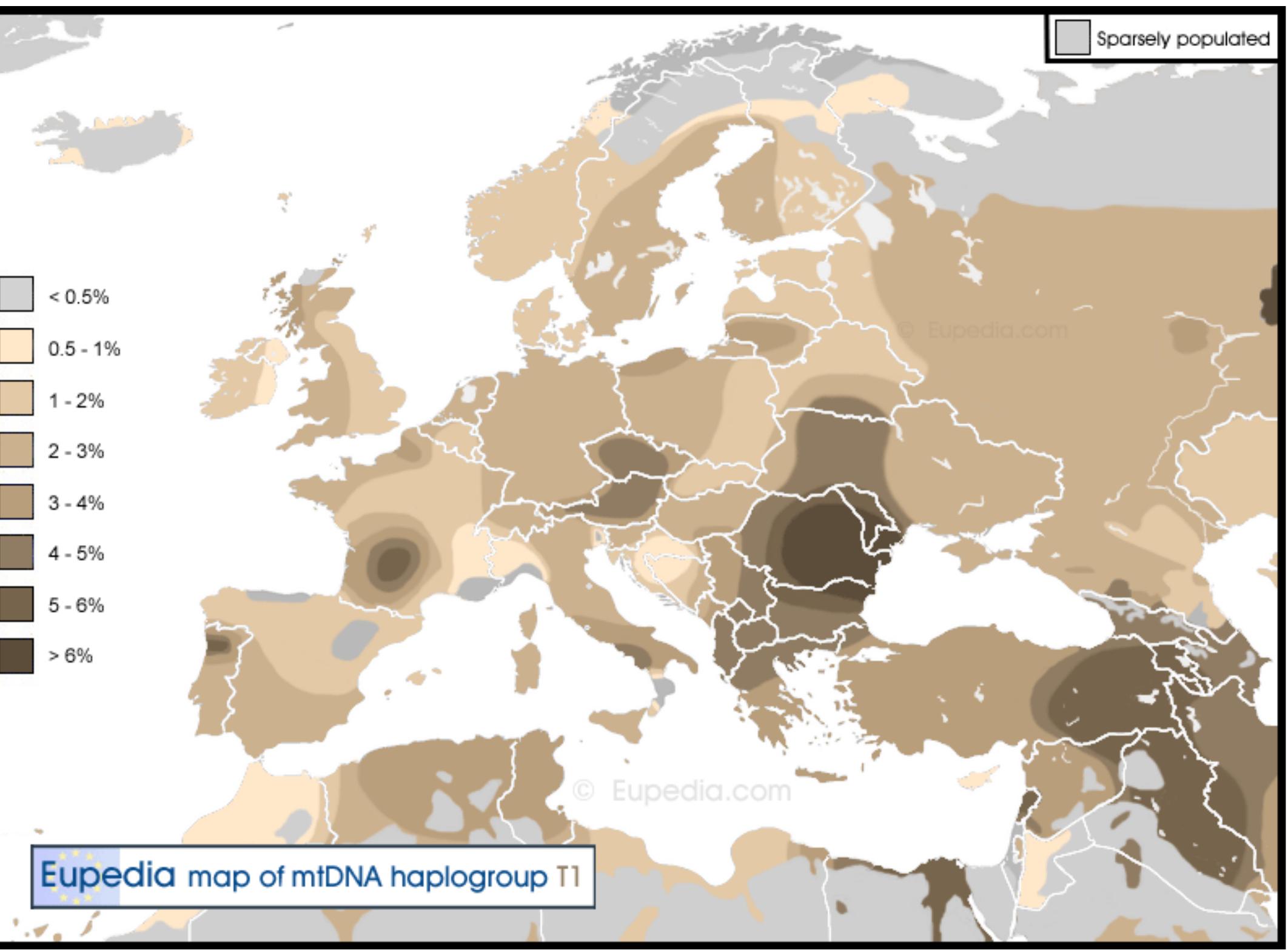 (PDF) Origins and history of Haplogroup T (mtDNA)