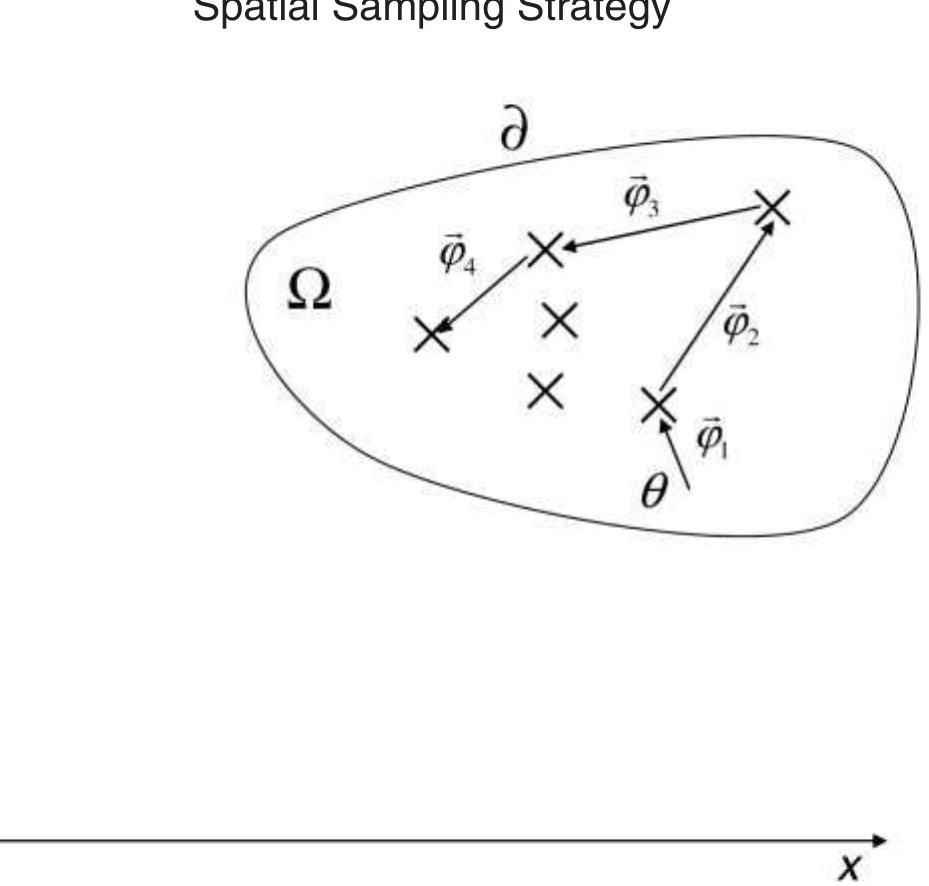 Schematic diagram of the spatial sampling strategy
