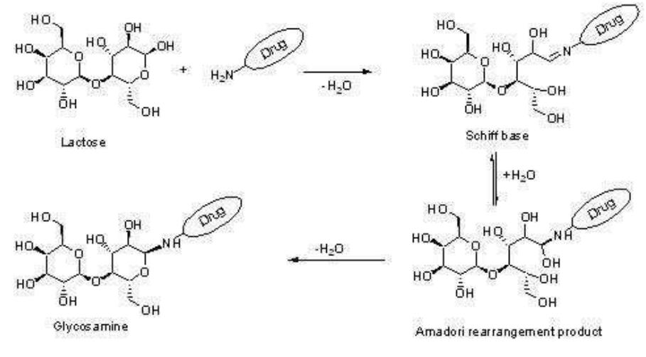 A general maillard reaction between lactose and an amine