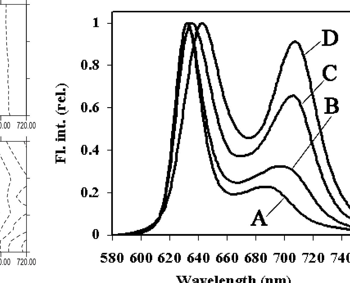 Fluorescence emission spectra of acetone extracts from con-