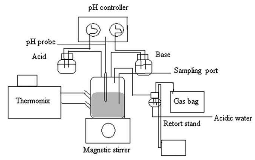 schematic diagram of the hydrogen-producing reactor used