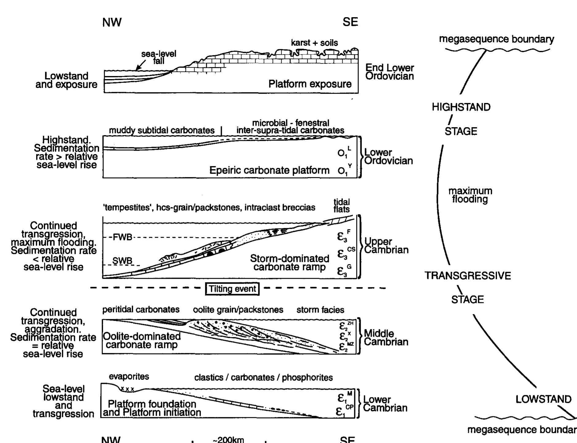 G. 6. schematic diagram showing the evolution of the first