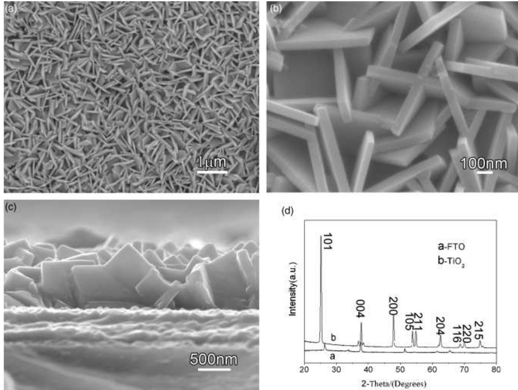 (a) low and (b) high magnification sem images of the