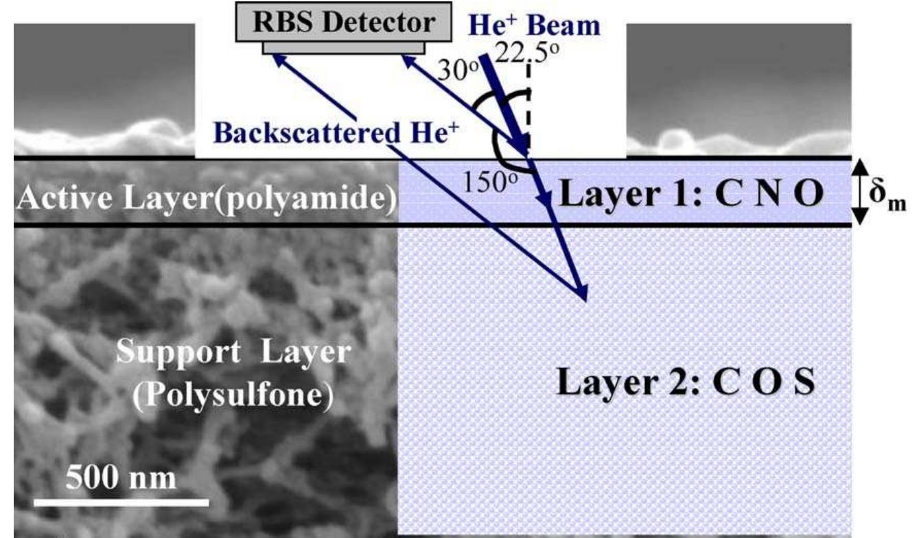 Diagram of rbs analysis of ft30 membrane with pa active