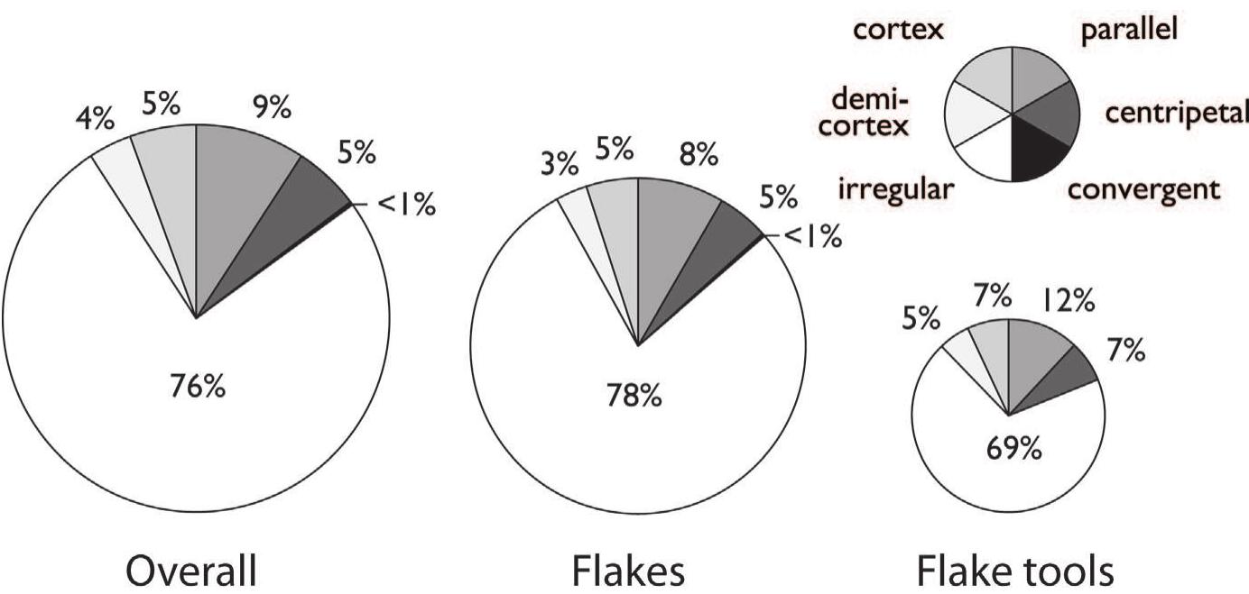 A diagram showing percentages of different dorsal surface