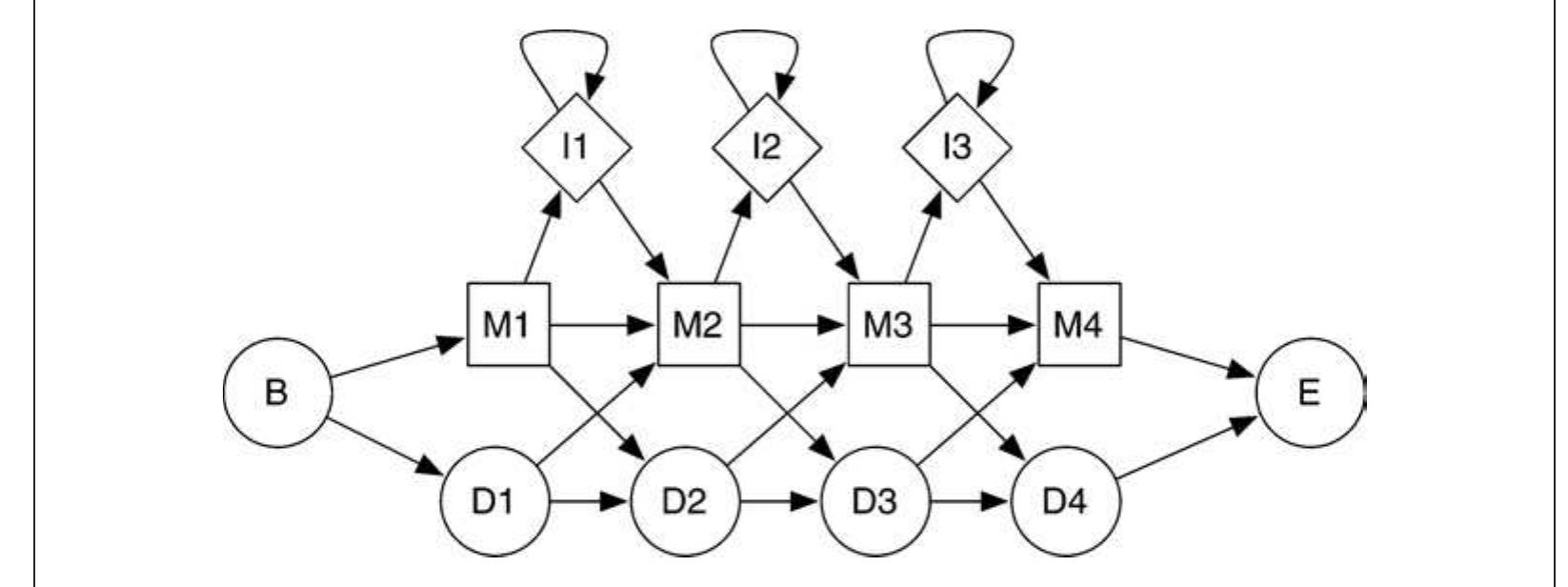 A.3a.3 schematic representation of a profile hidden markov