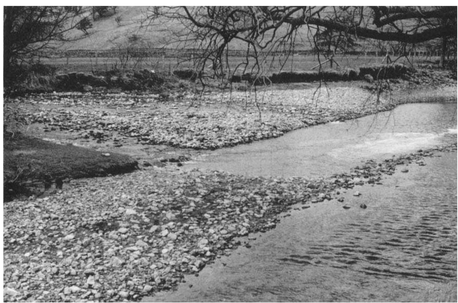 Bed morphology of the widdale beck/river ure confluence. the