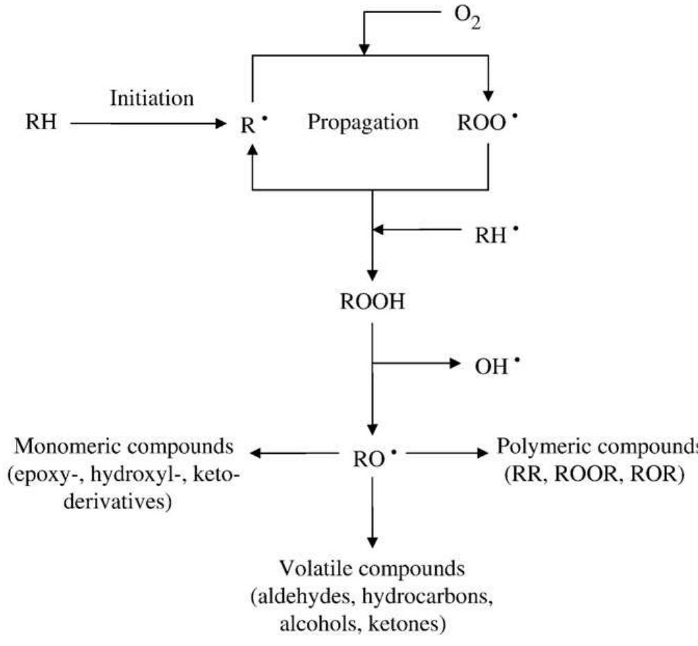 Simplified mechanism for oil oxidation reaction during