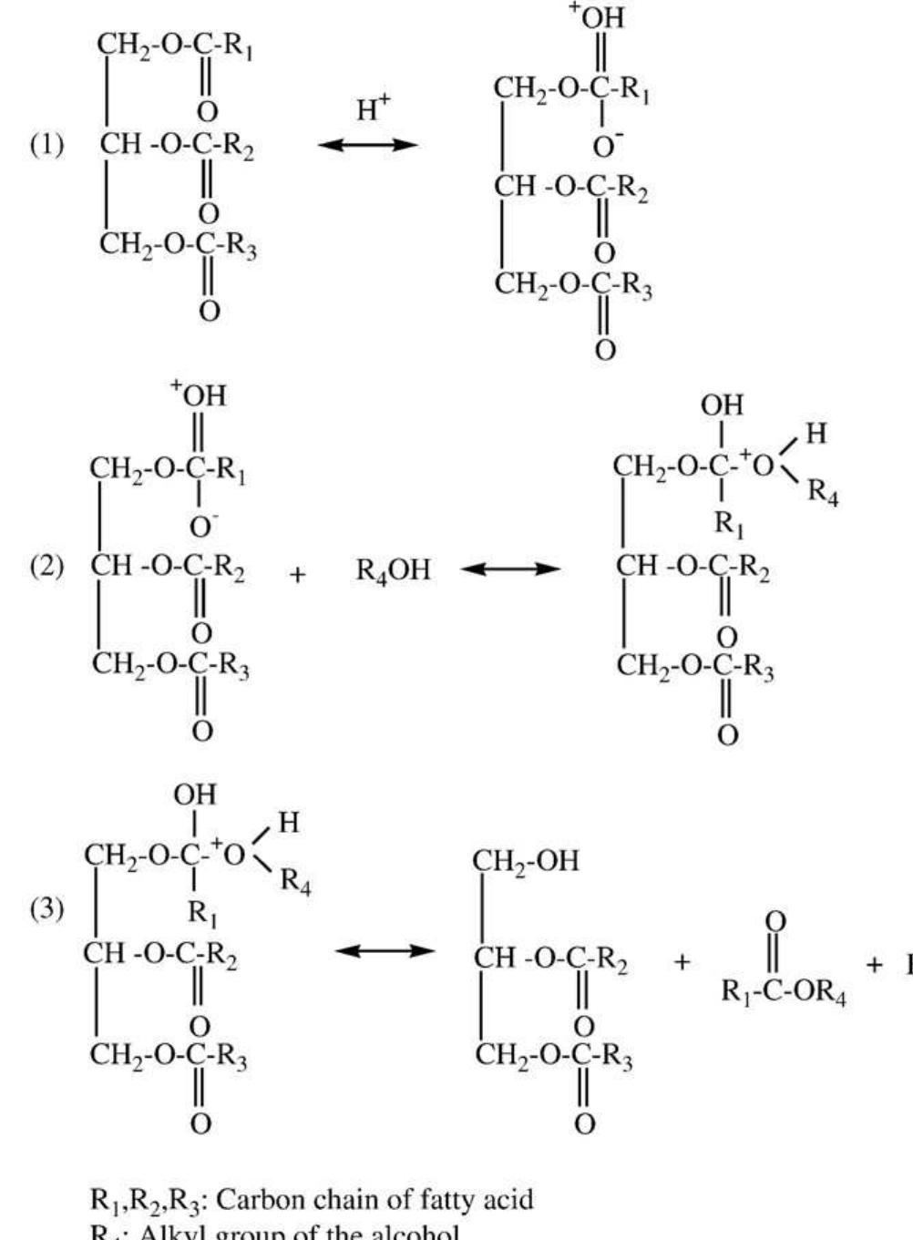 Homogeneous acid-catalyzed reaction mechanism for the