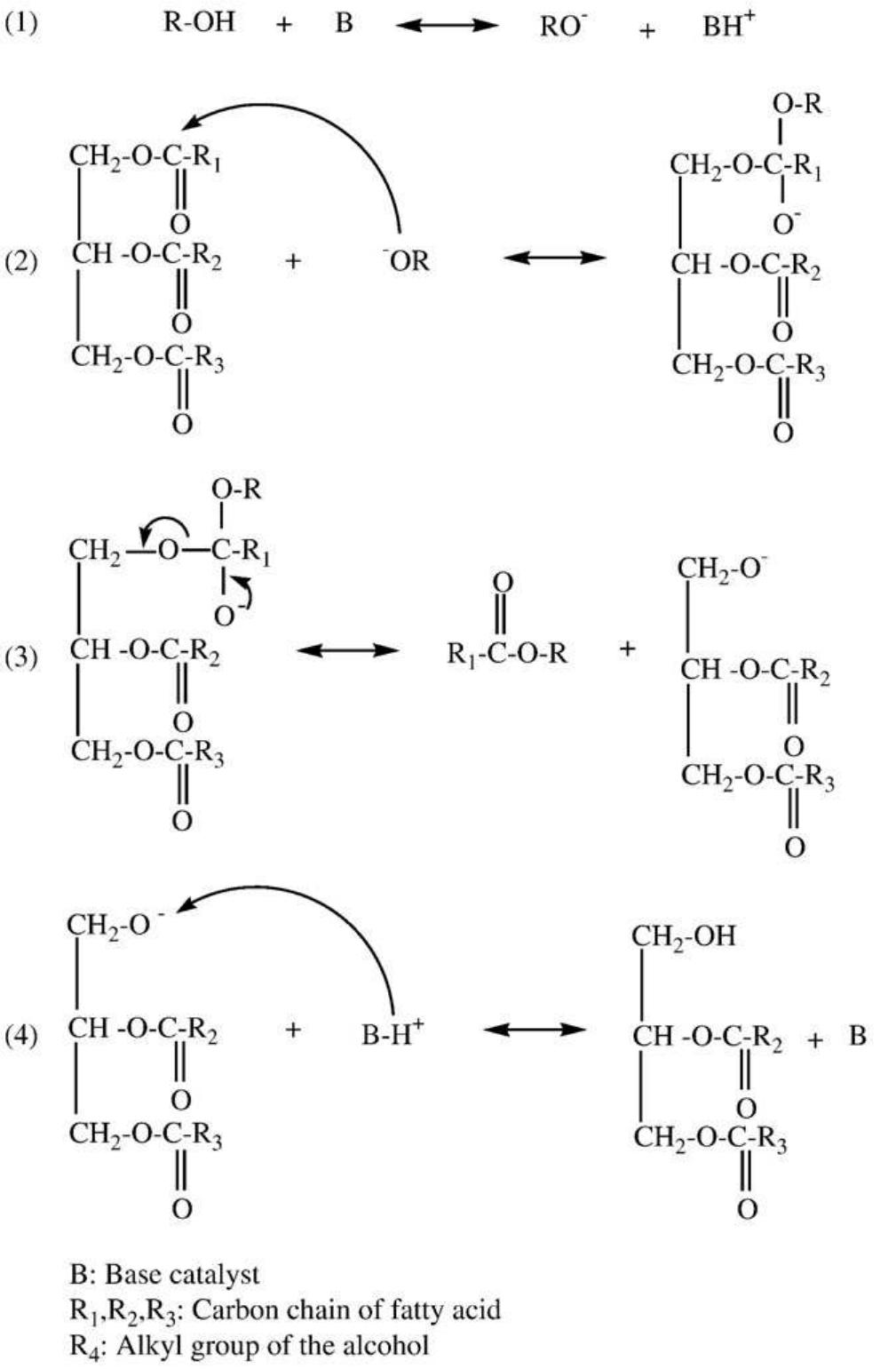 Homogeneous base-catalyzed mechanism for the