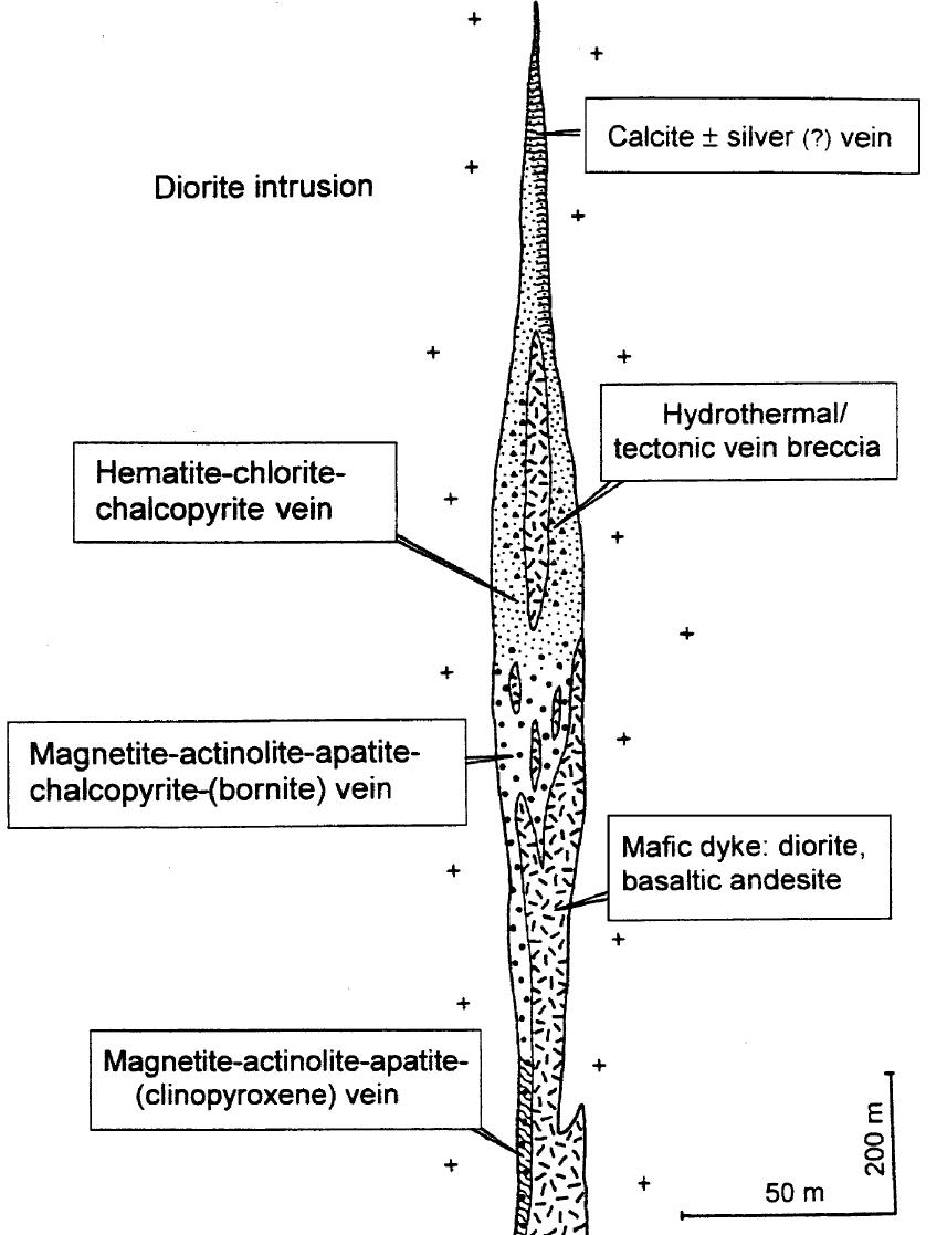 Idealised section of an iocg vein in the coastal cordillera