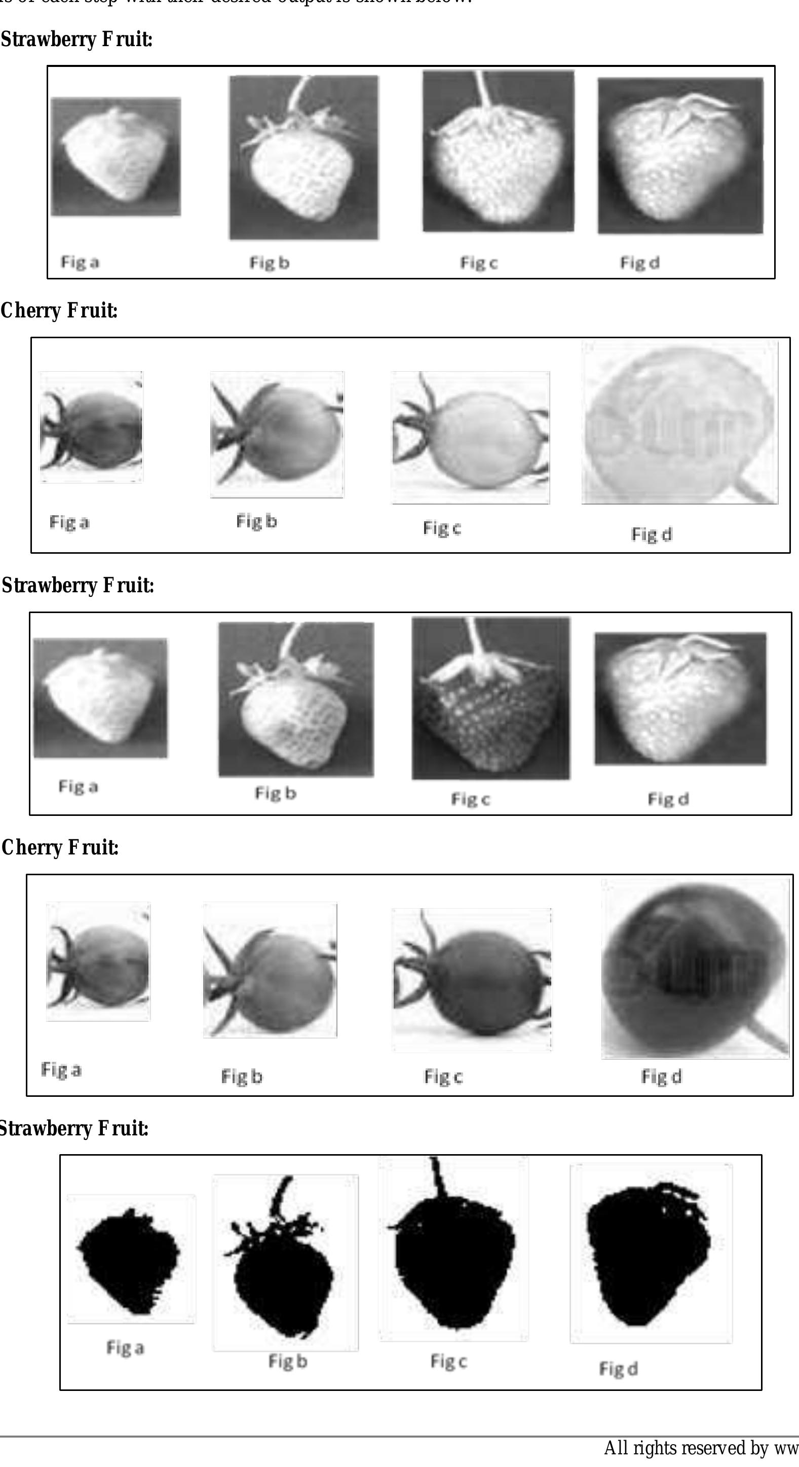 Figure 4 - Assessment of Fruit Maturity using Digital Image