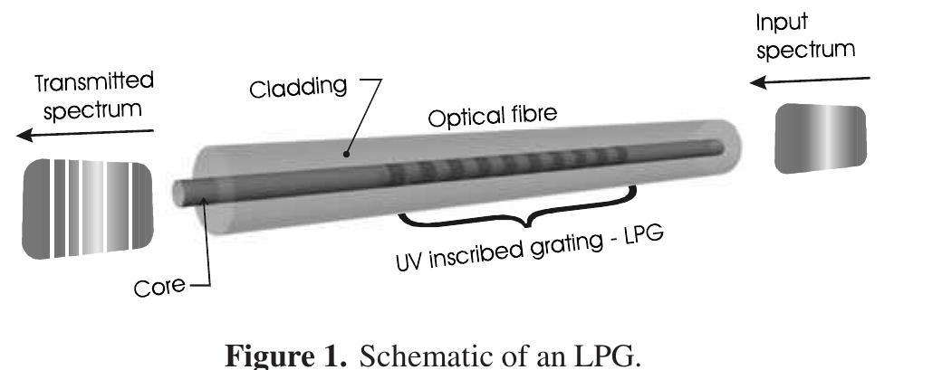 Coupling to the cladding modes, and results in a change in
