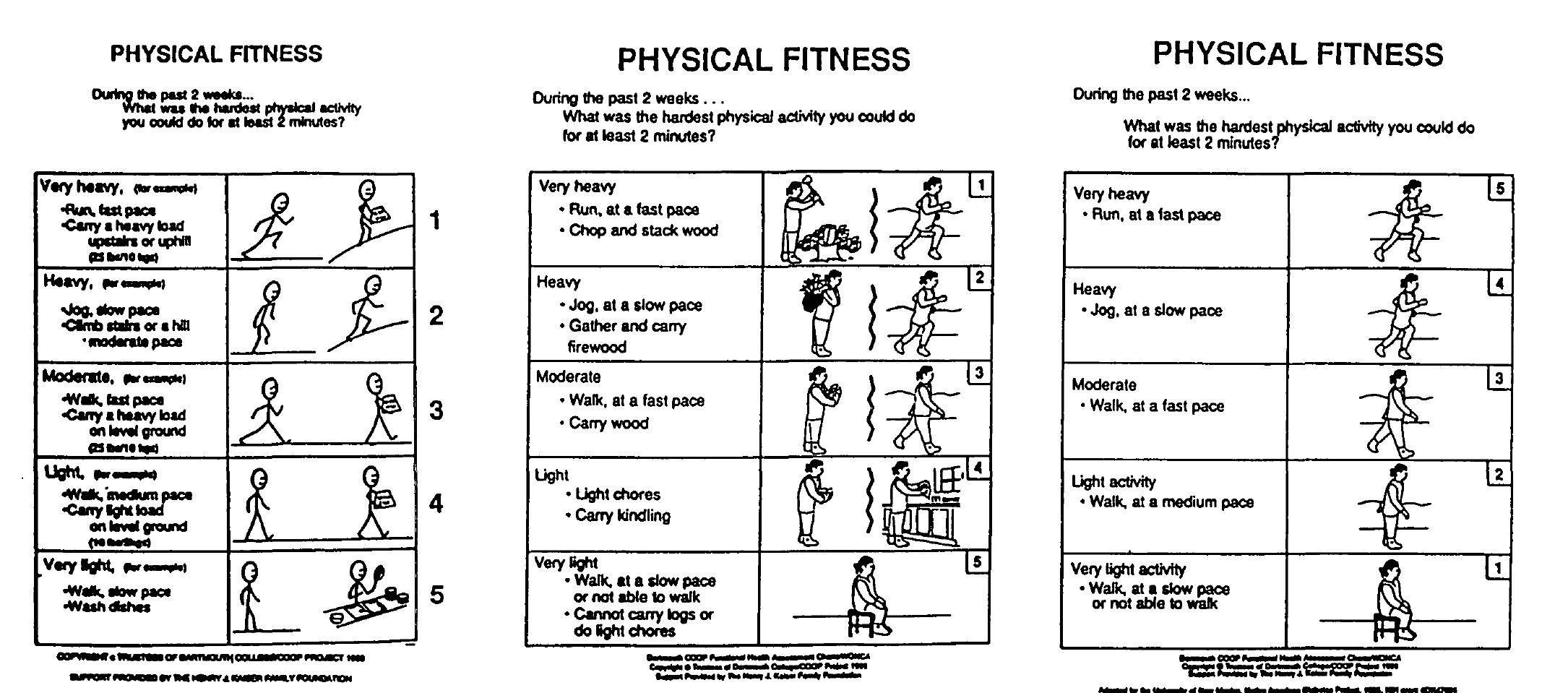 —adaptation of the physical activity chart through focus