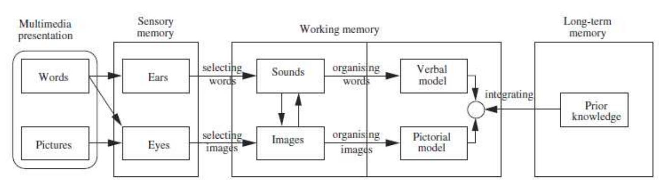 (PDF) The Cognitive Theory of Multimedia Learning