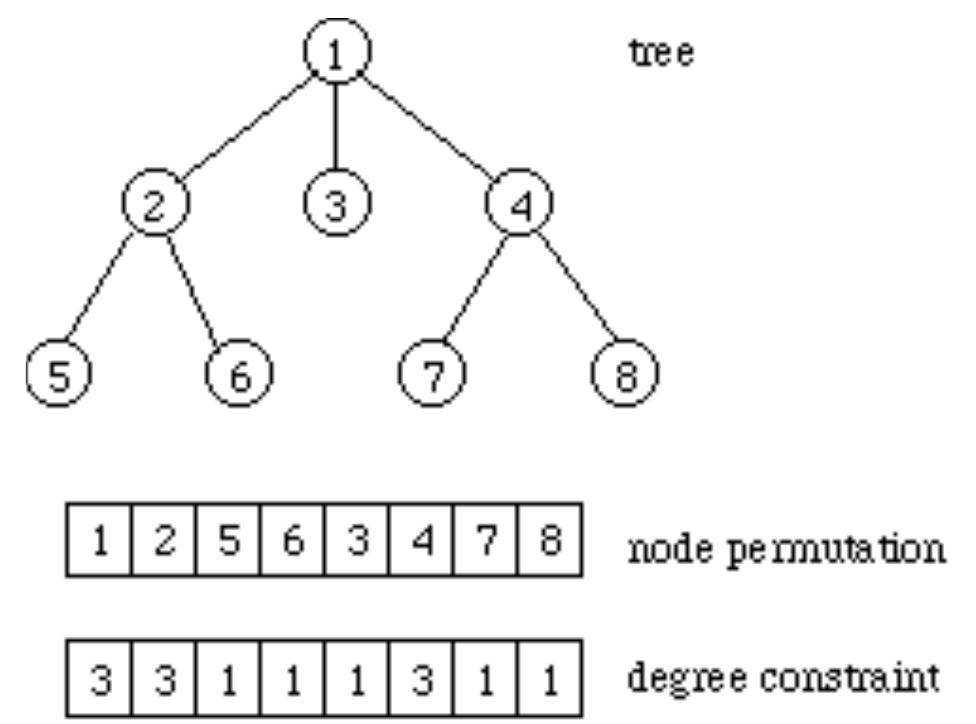 A rooted tree and its degree-based permutation encoding.