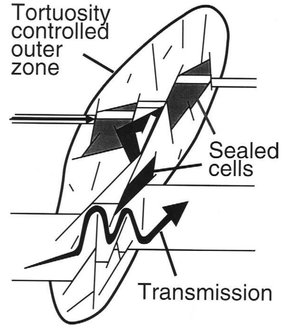 Figure 12 - from Fault seal analysis: successful