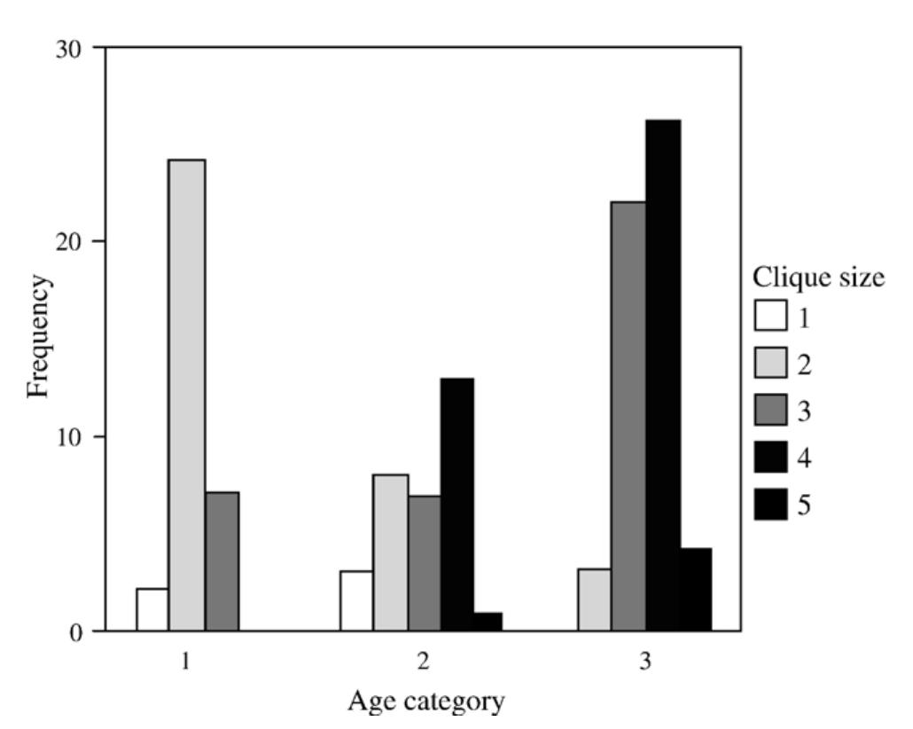 Distribution of clique sizes for each age cohort (study 2).