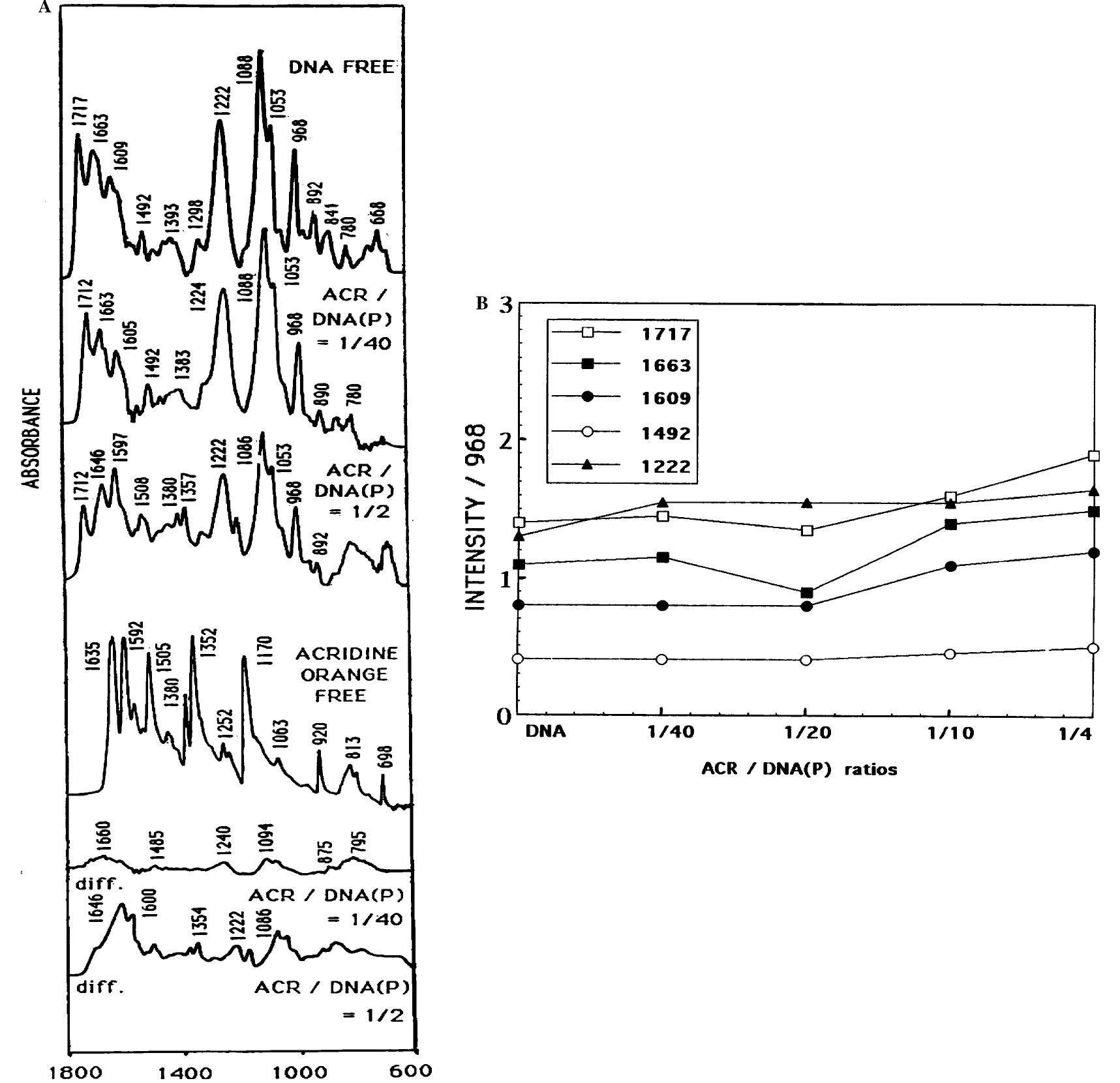 Figure 3 - from Stability and structural features of DNA