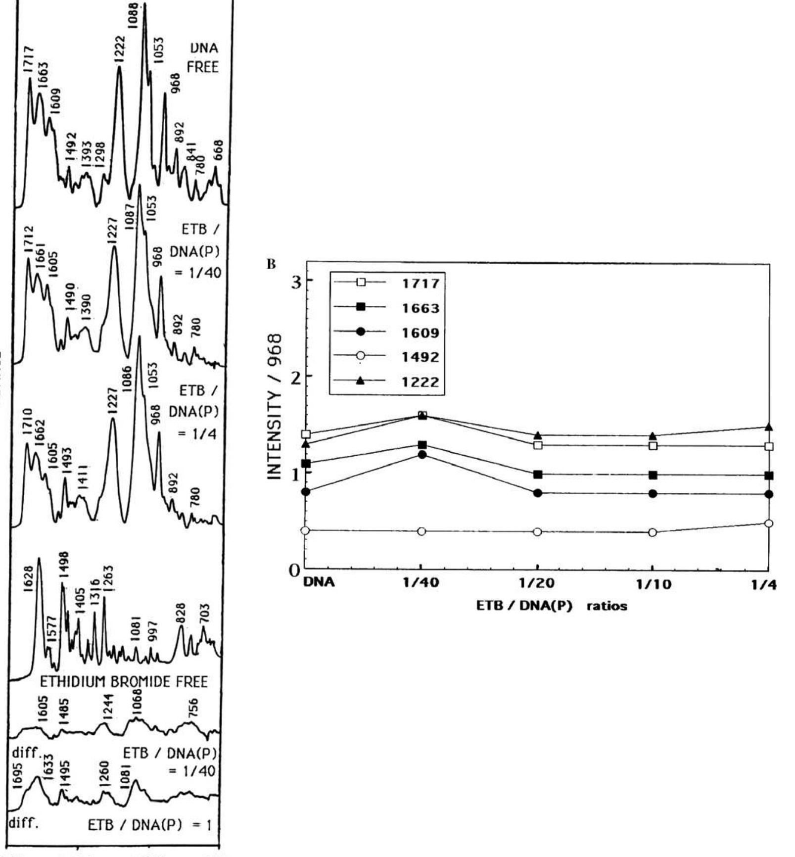 (a) ftir spectra and different spectra of calf-thymus dna