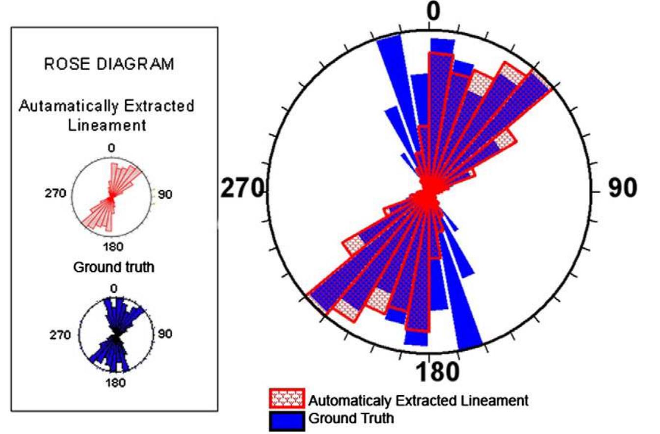 Rose diagram showing the number and orientation of