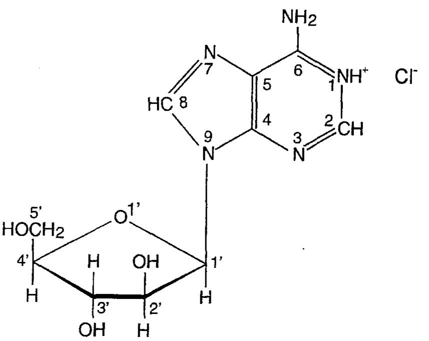 Chemical structure and atomic numbering system of ara- a.hcl