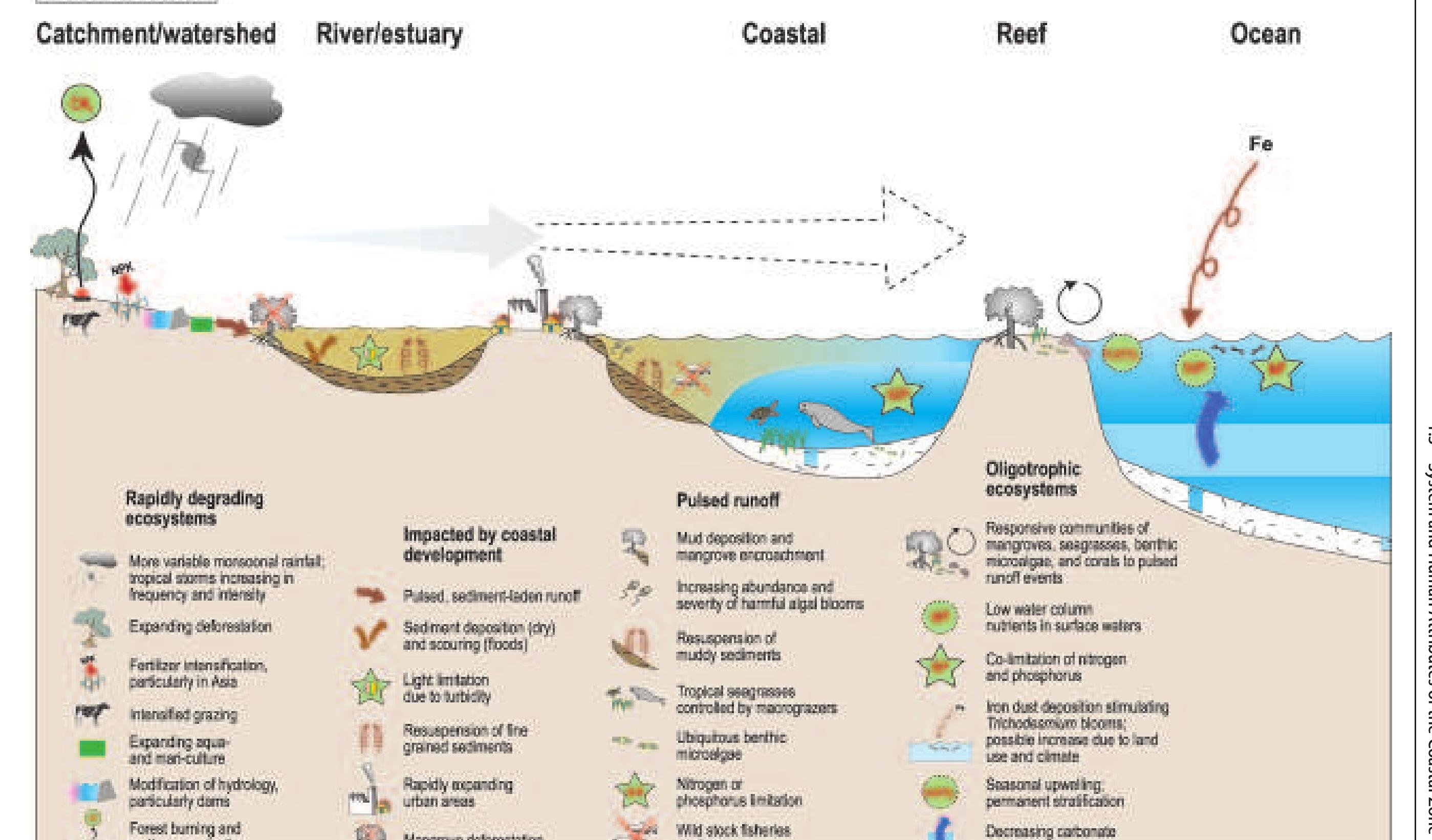 3c. the coastal zone. conceptual diagrams of processes and