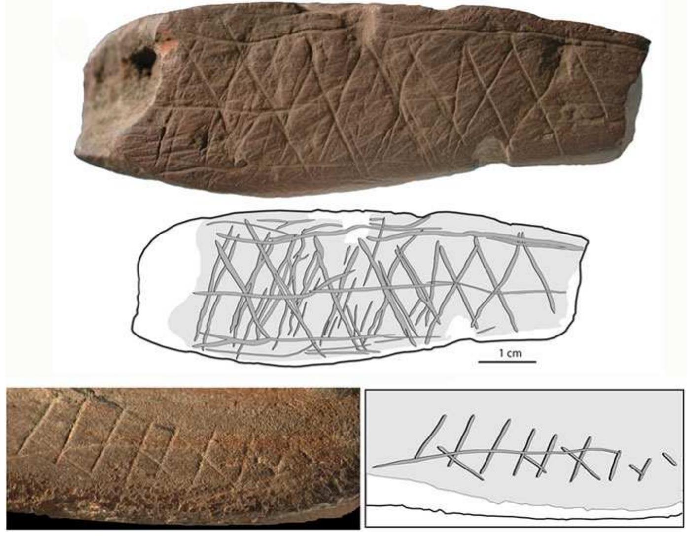 Figure 3 - from Paleolithic Art: A Cultural History