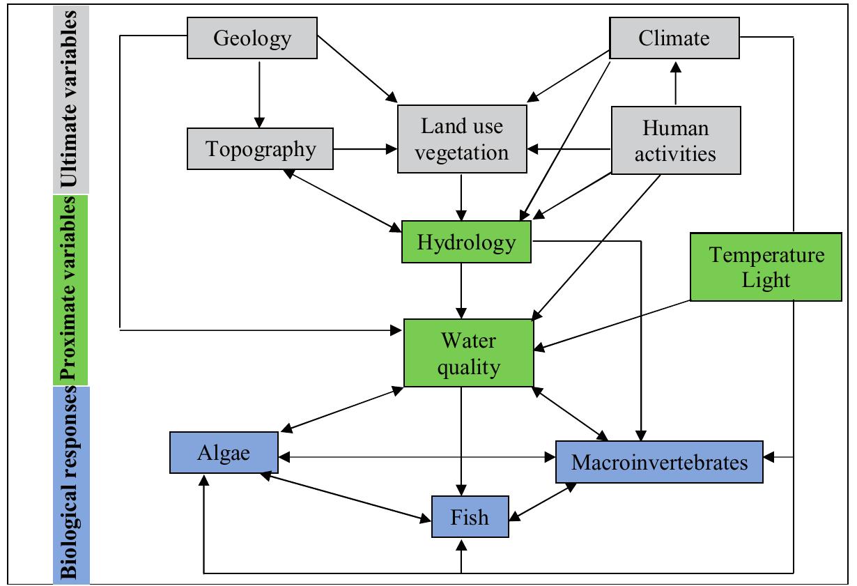 1: interaction of biological, proximate and ultimate factors
