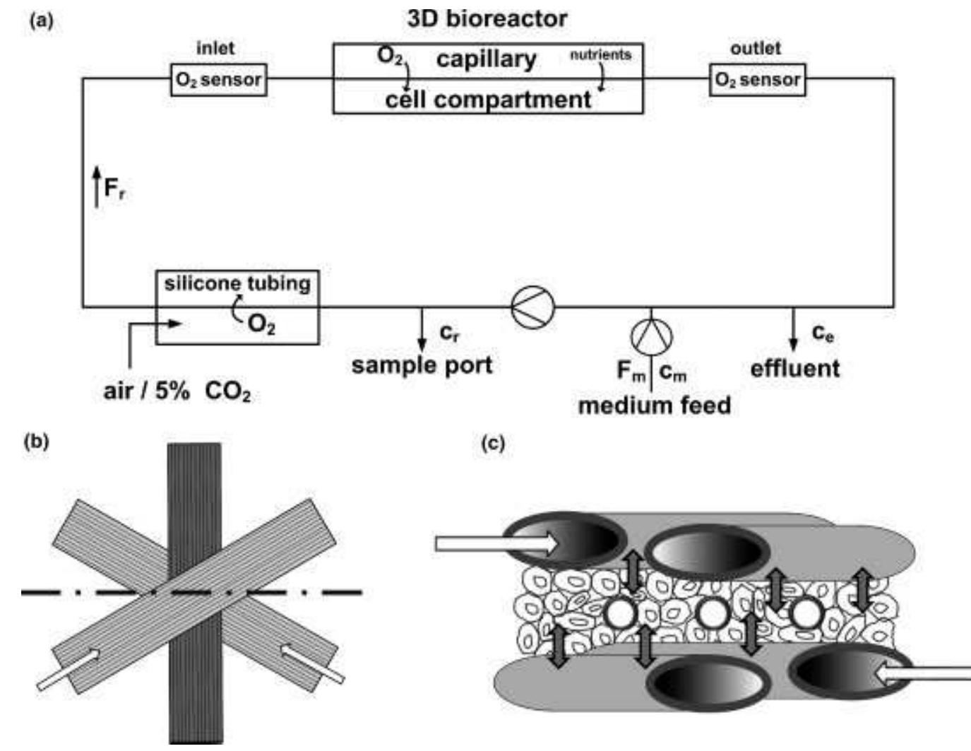 (a) schematic representation of the 3d bioreactor system.