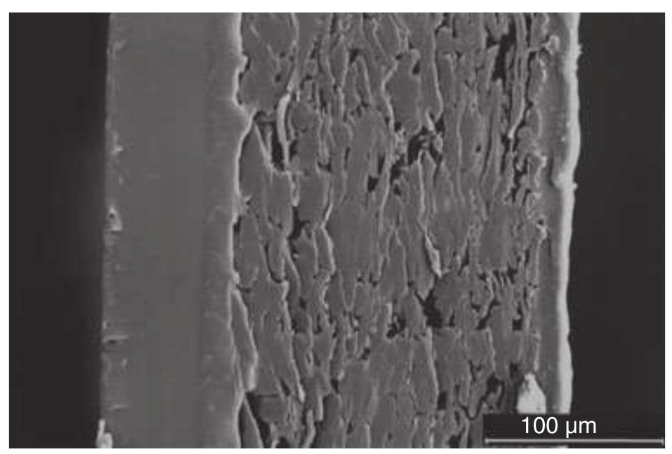 Sem electron micrograph of cross section of a resin- coated