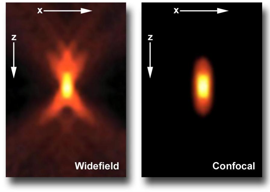 Comparison Of Axial X Z Point Spread Functions For