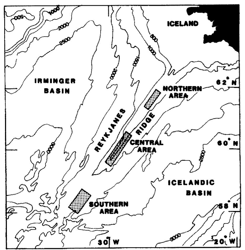 Bathymetric chart of the reykjanes ridge south of iceland
