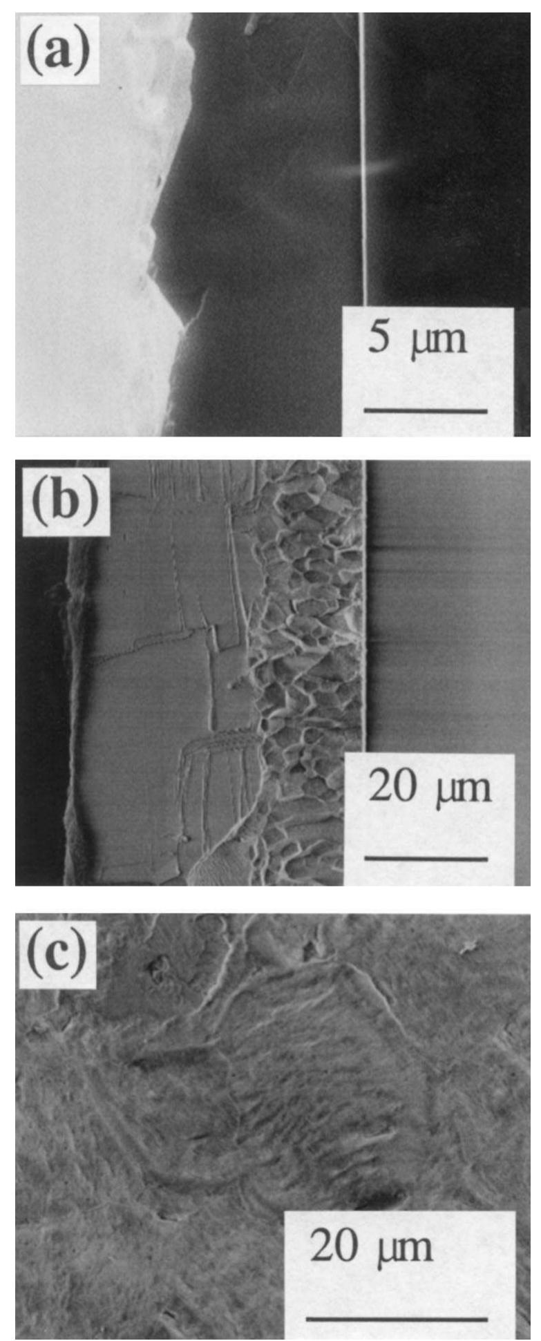 Sem images of (a) a cleaved cross-section of cdte/sap- phire