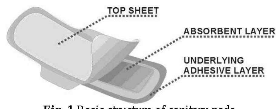 Shows the basic structure of sanitary pads. it consists of a