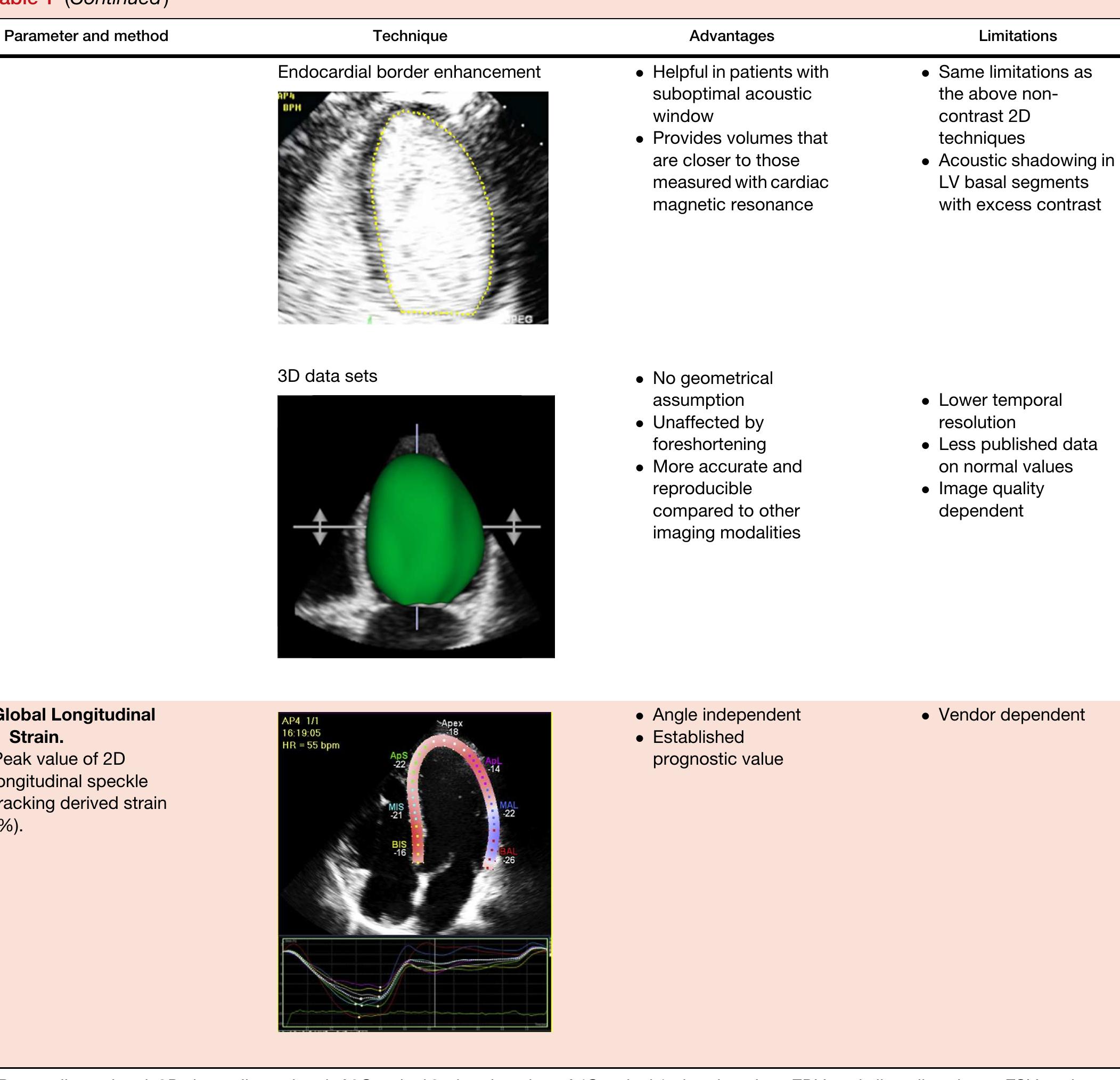(PDF) GUIDELINES AND STANDARDS Recommendations for Cardiac Chamber ...