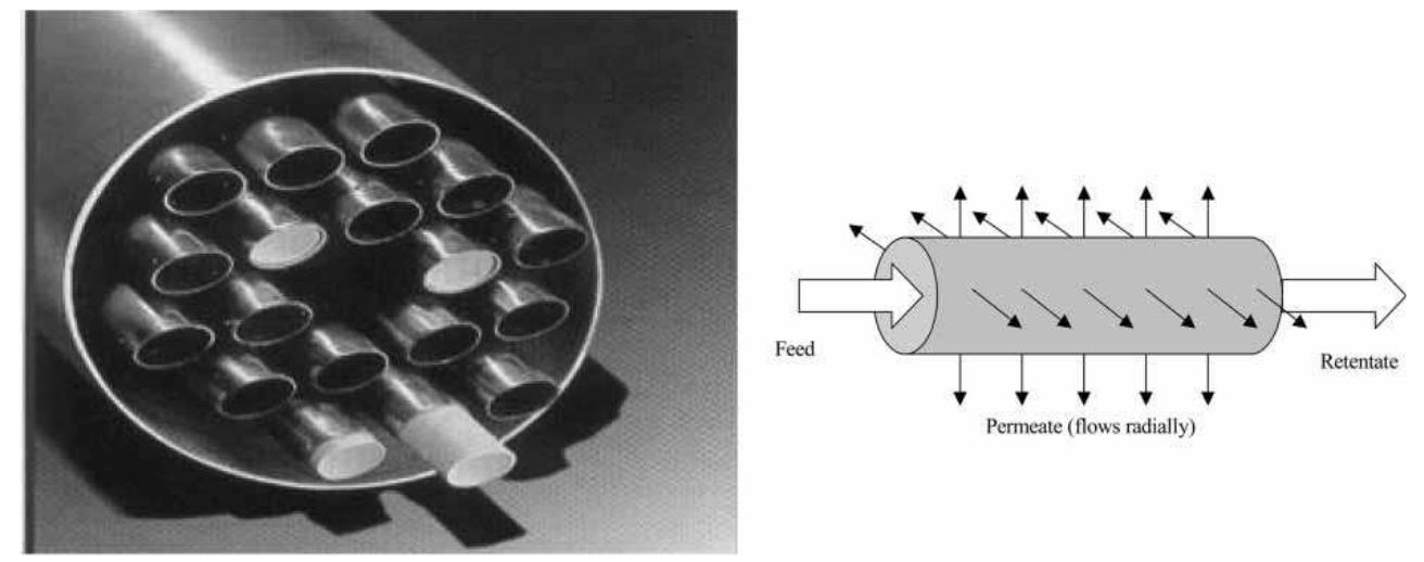 Tubular membrane module. reproduced with permission from