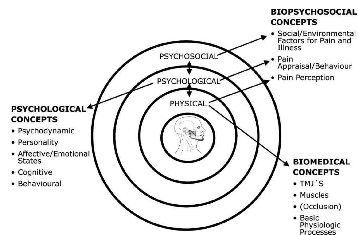 Summary of the bio-psychosocial concepts reviewed in the